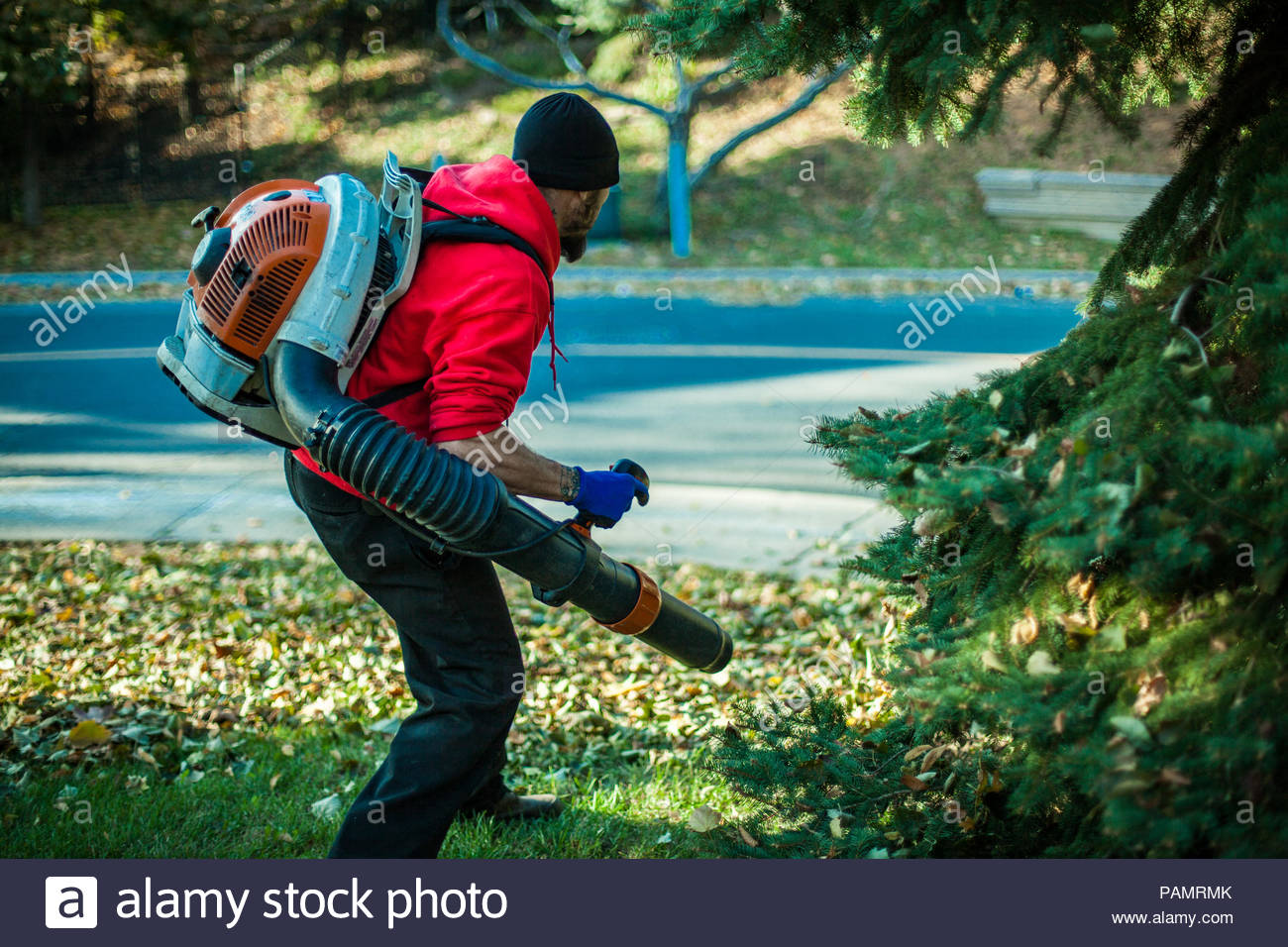 Leaves Blowing Stock Photos & Leaves Blowing Stock Images - Alamy
