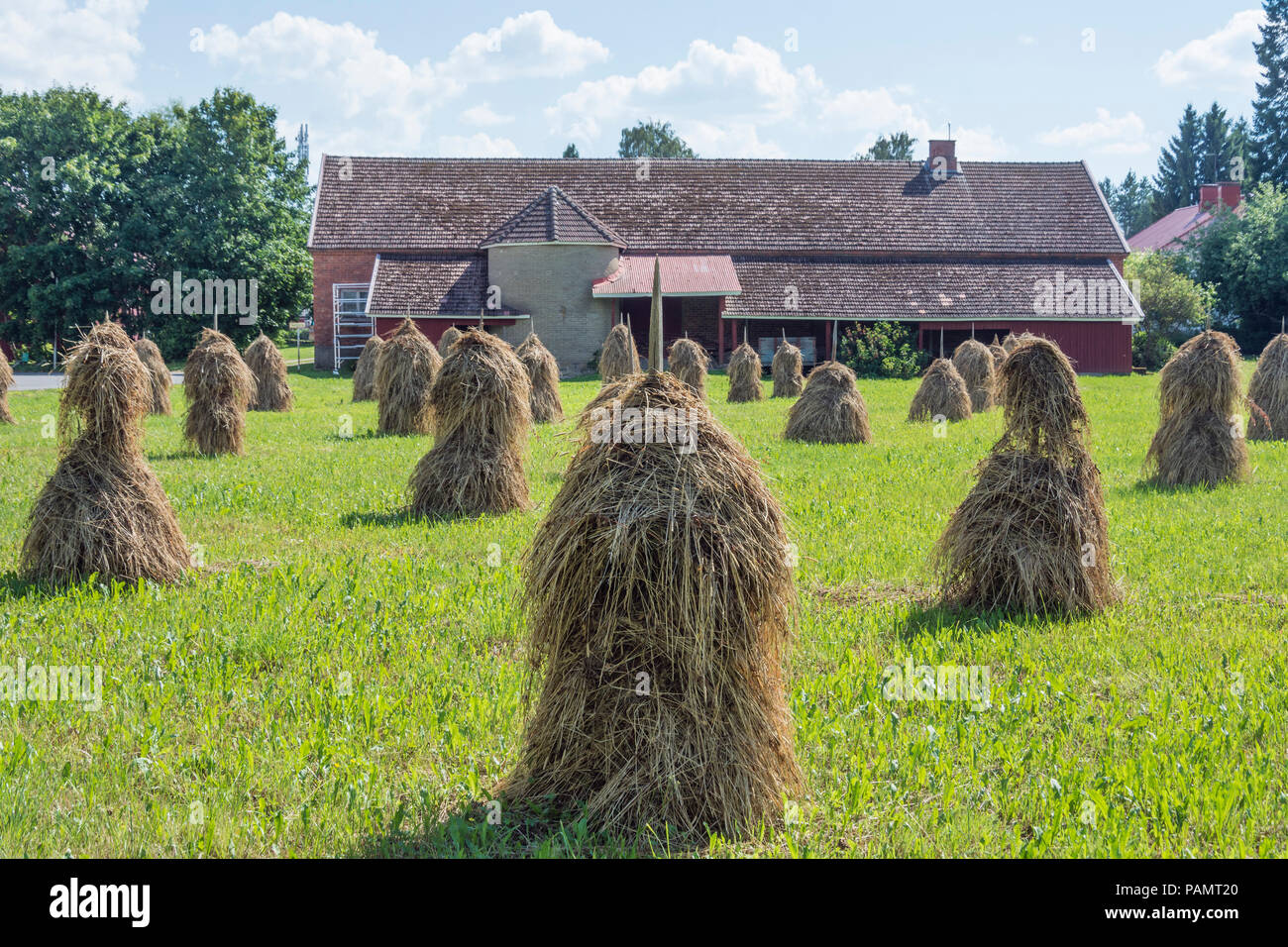 Hay Drying Poles High Resolution Stock Photography and Images - Alamy