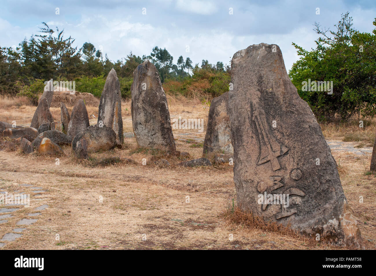 Tiya is a town and archaeological site notable for stone pillars with ...