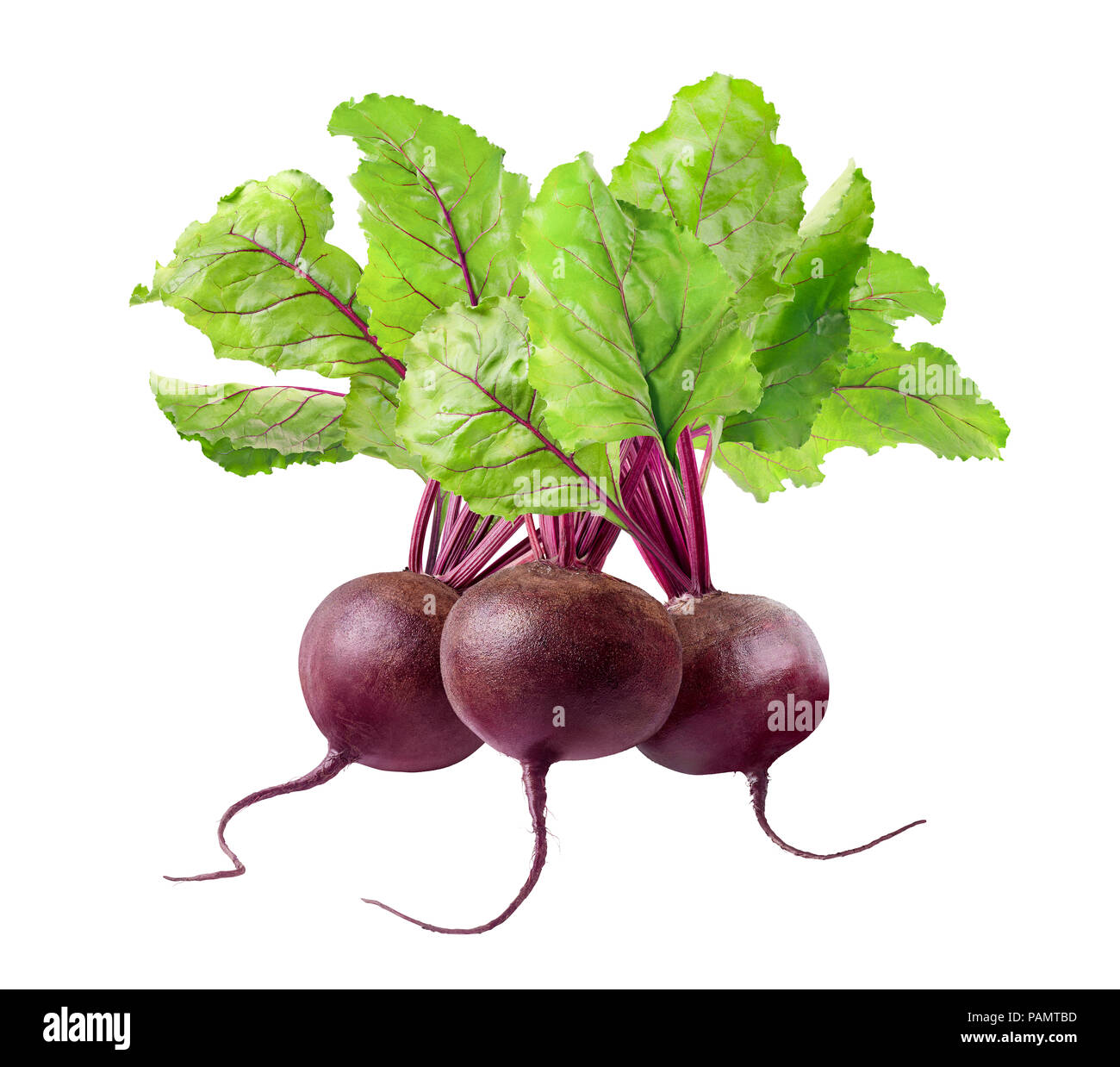 Whole Root High Resolution Stock Photography and Images - Alamy