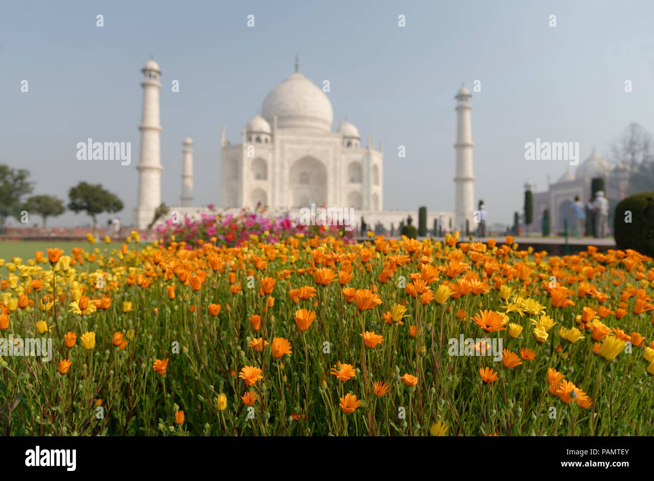 Taj Mahal Marble Flowers High Resolution Stock Photography and Images ...