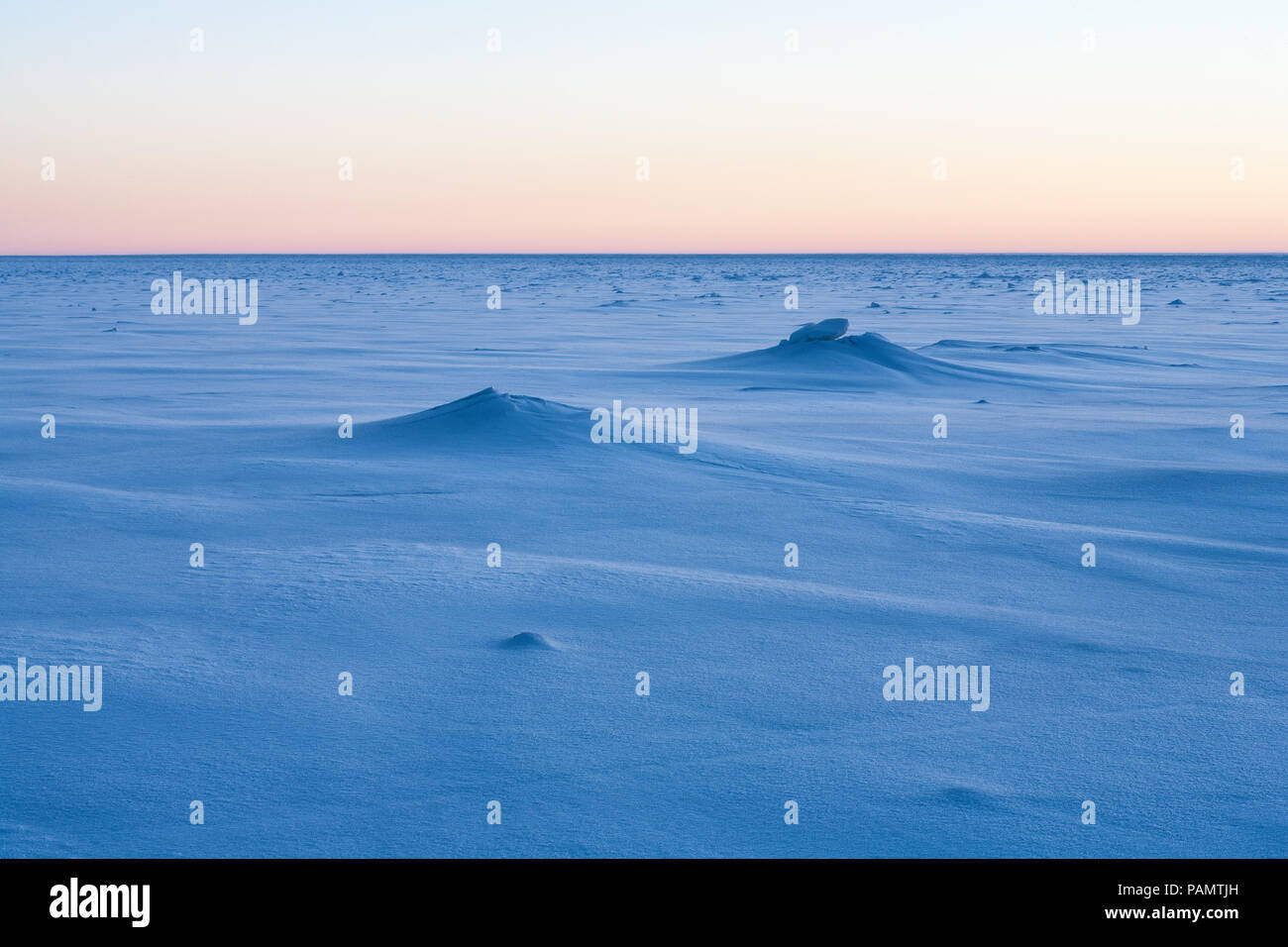 Pink sky at the horizon is reflected in the frozen sea to the horizon ...