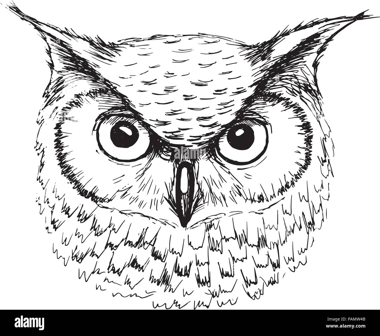 Owl Sketch High Resolution Stock Photography and Images - Alamy