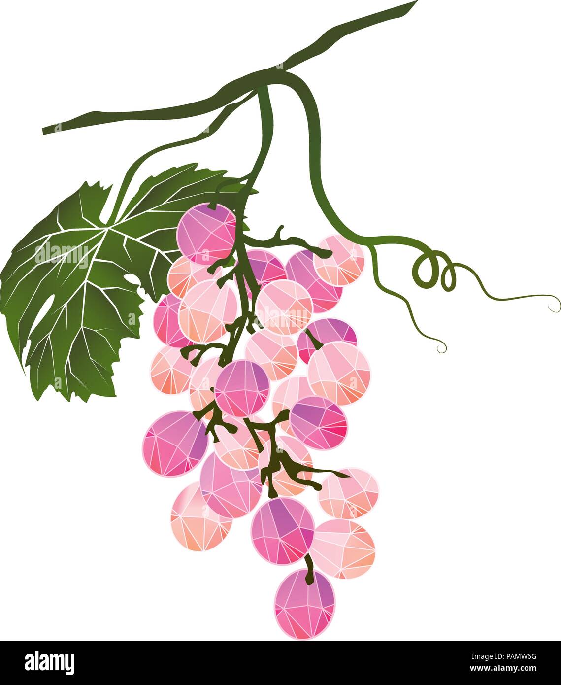 Pink vine Stock Vector Images - Alamy