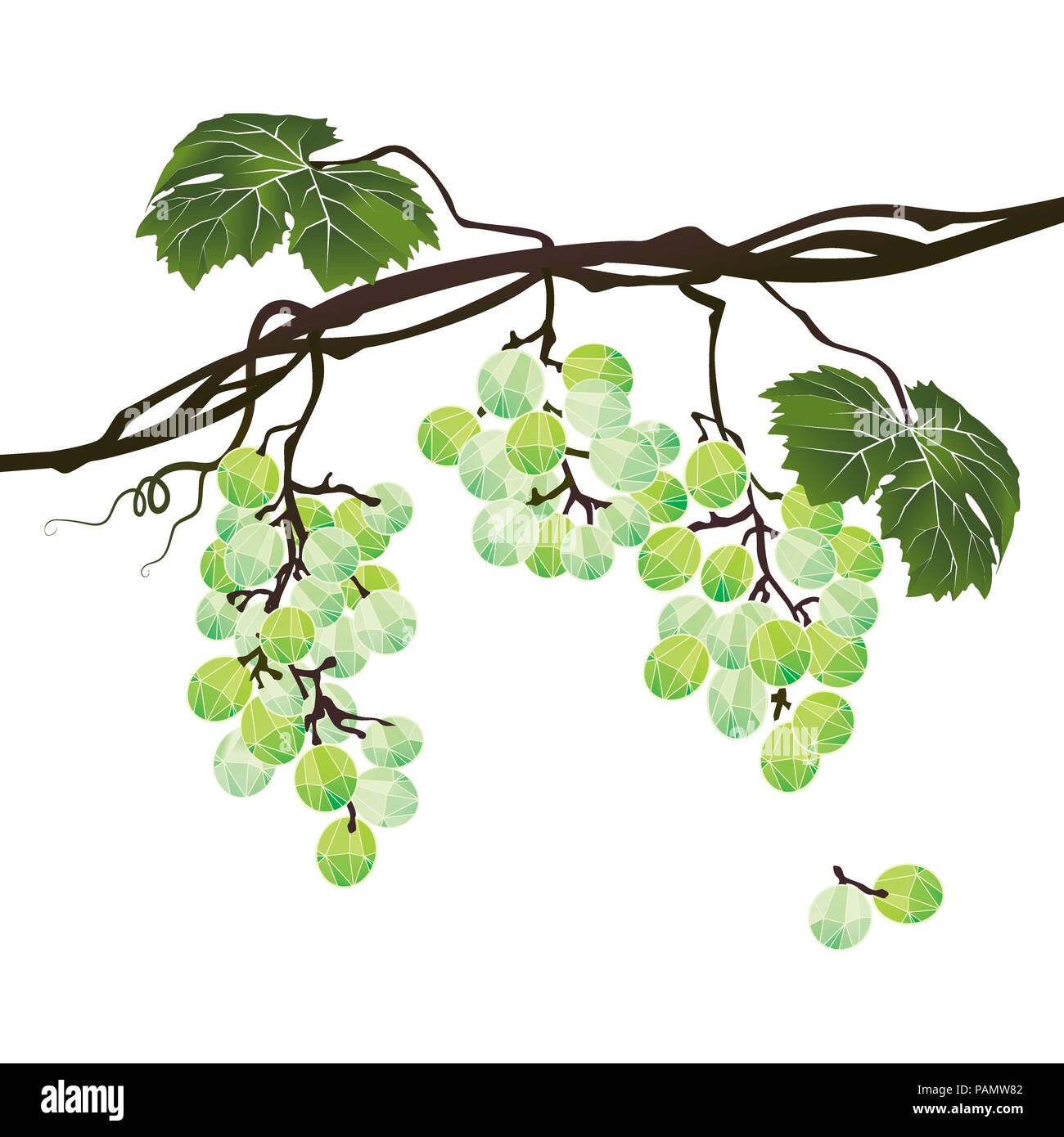 Vine detail Stock Vector Images - Alamy