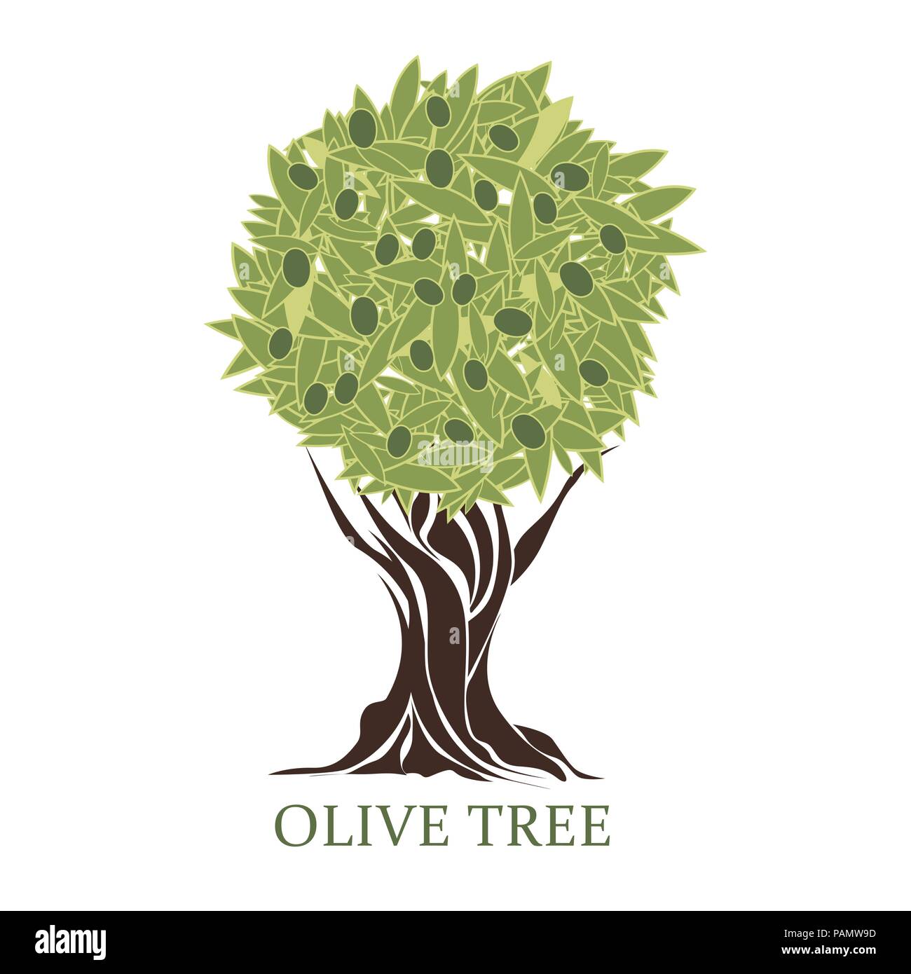 Olive tree Stock Vector Images - Alamy