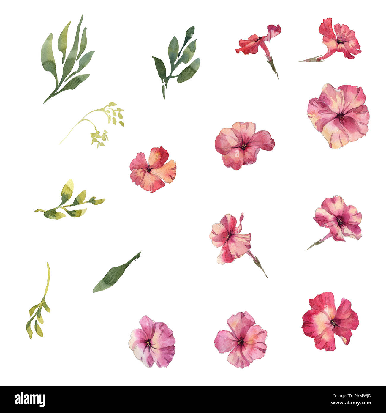 Hand sketched flowers Cut Out Stock Images & Pictures - Alamy