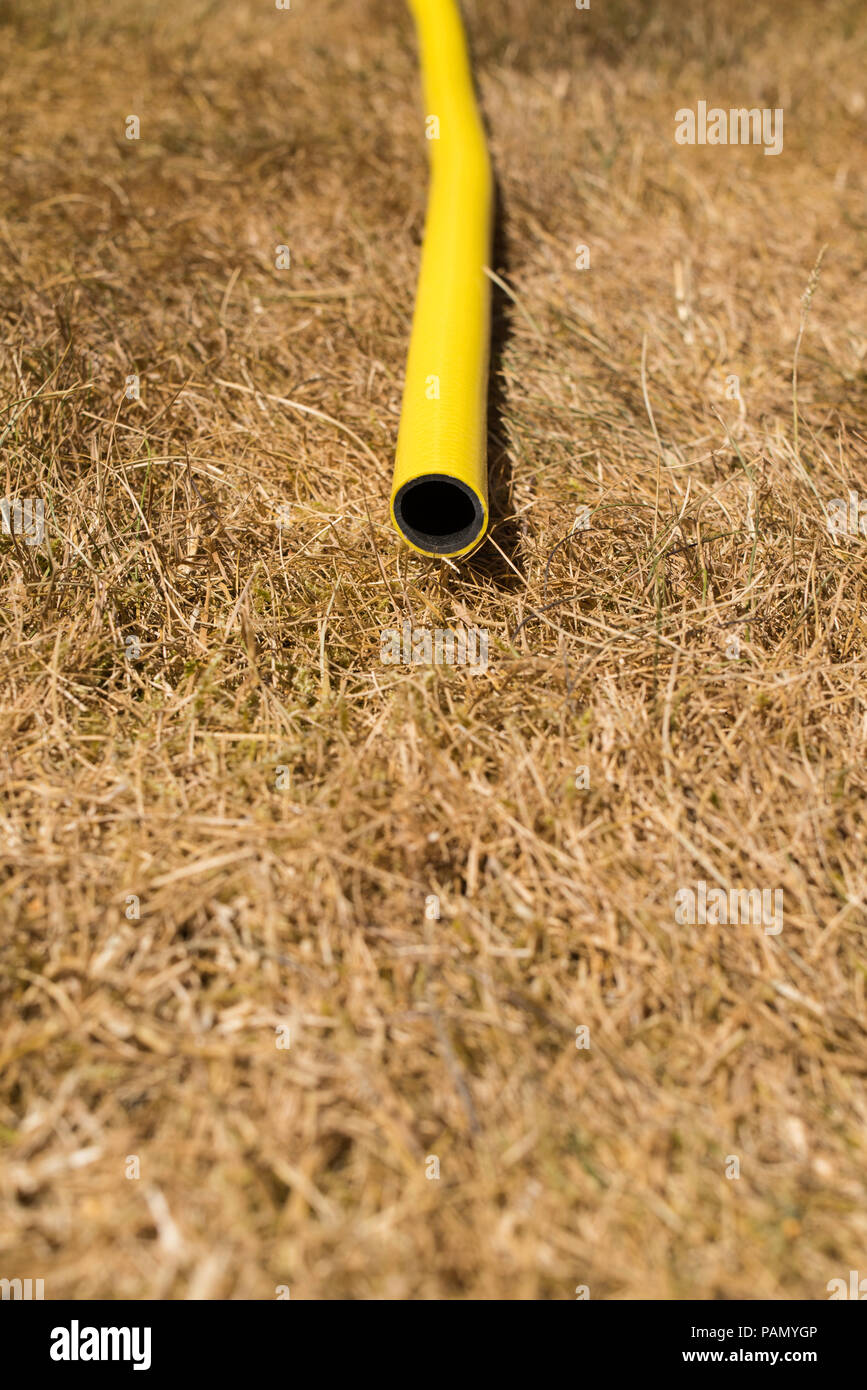 Parched grass drought hi-res stock photography and images - Alamy