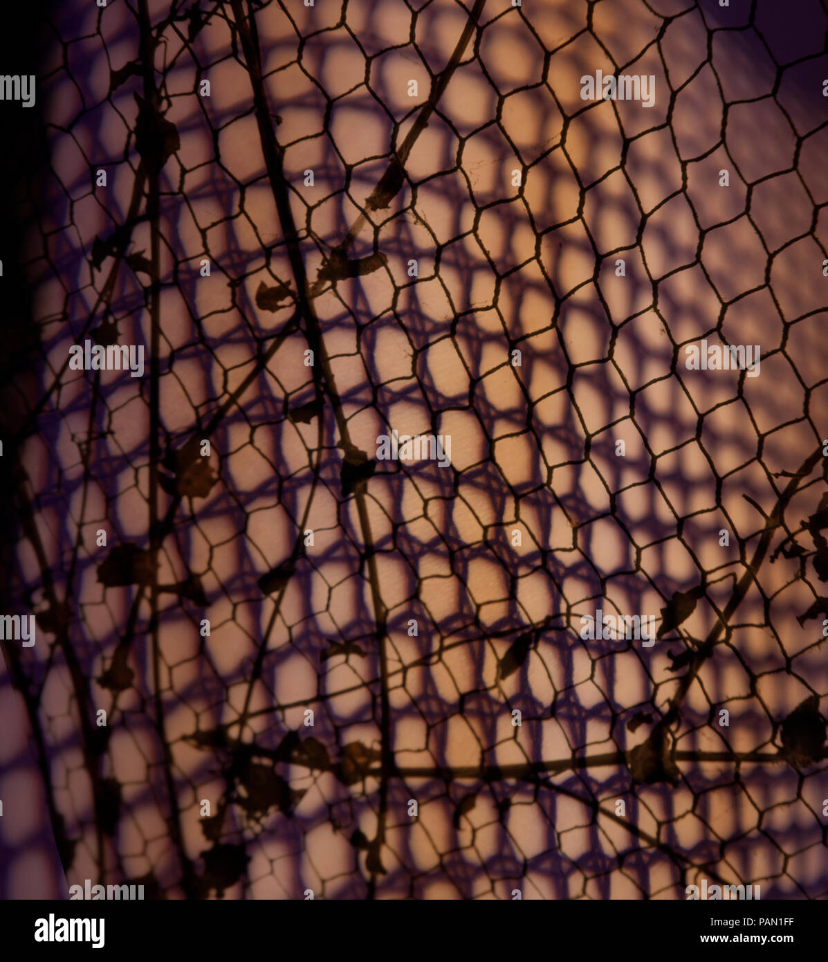 Fishnet stockings hi-res stock photography and images - Alamy