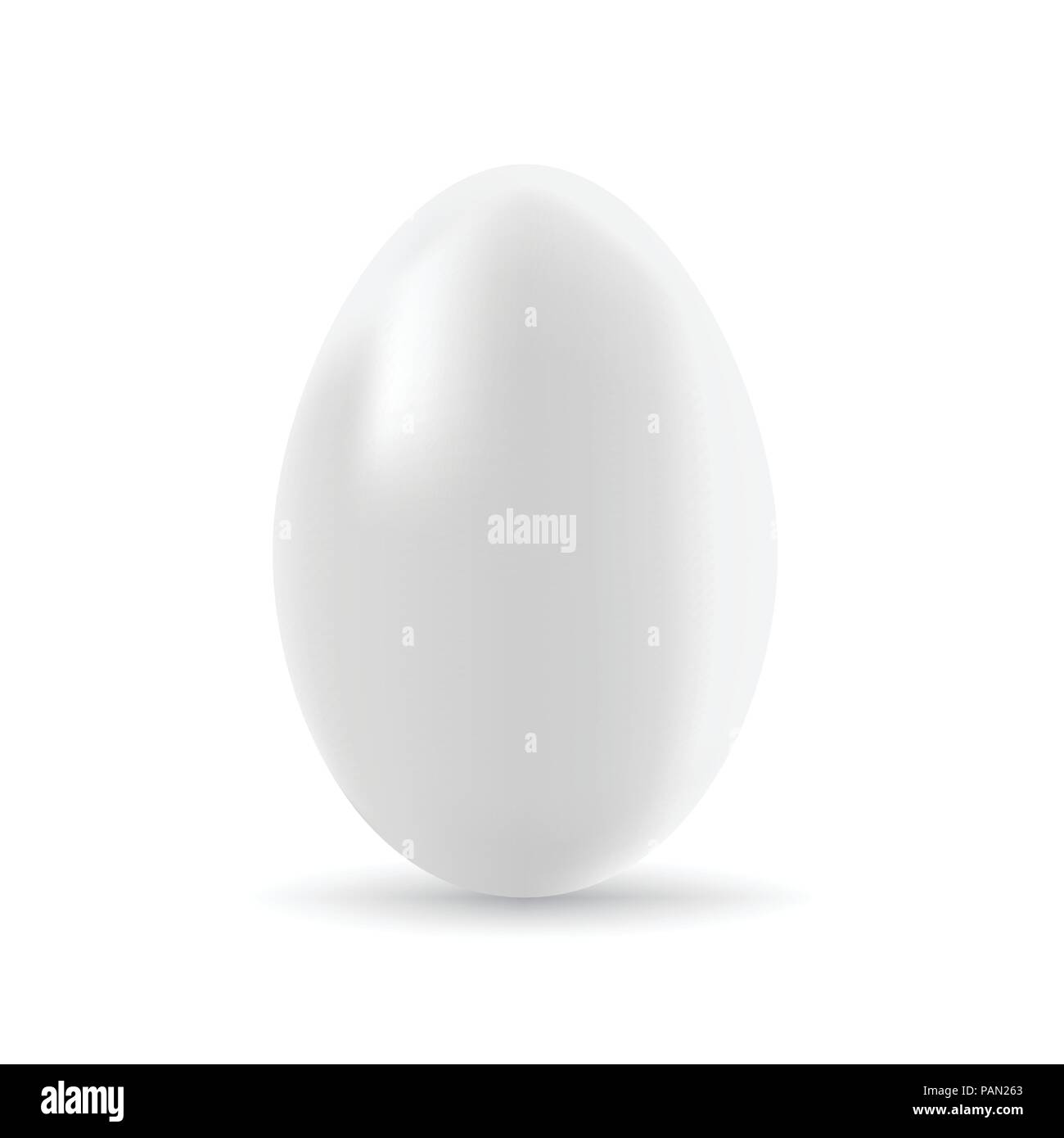 White eggshell isolated on Stock Vector Images - Alamy