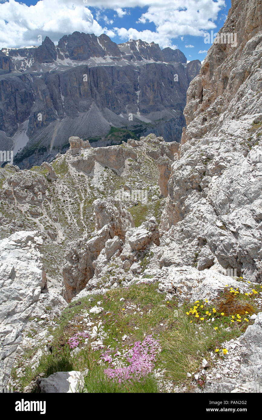 Limestone pillars and rock formations on Cir mountains in Puez Odle ...