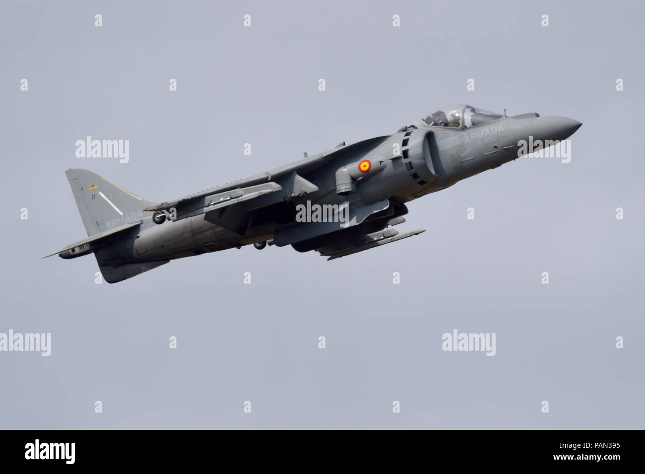 Spanish Navy McDonnell Douglas AV-8B Harrier II Matador jump jet ...