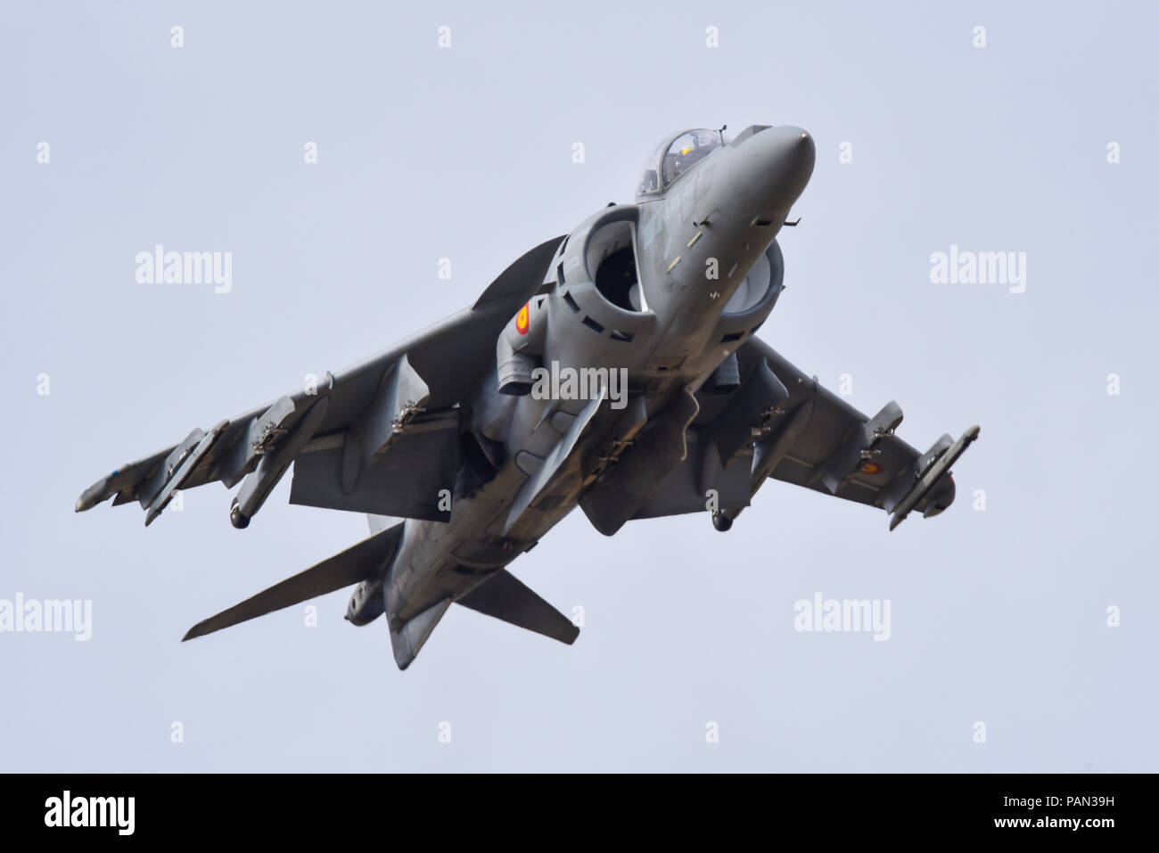 Spanish av 8b harrier hi-res stock photography and images - Alamy