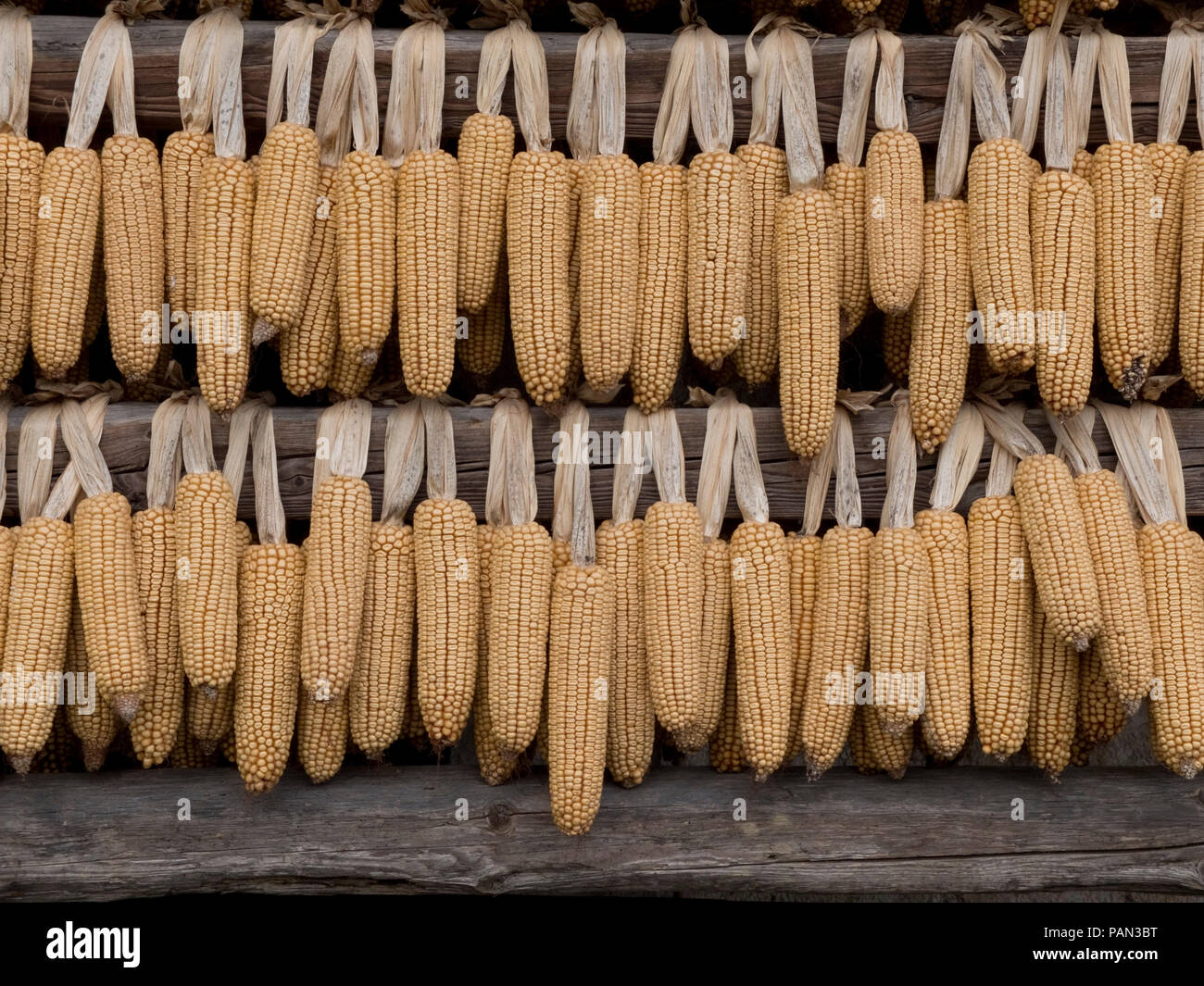 Traditional barn drying corn hi-res stock photography and images - Alamy