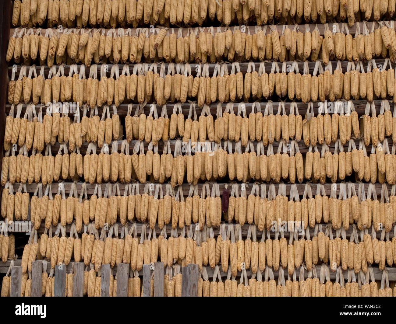 Traditional barn drying corn hi-res stock photography and images - Alamy