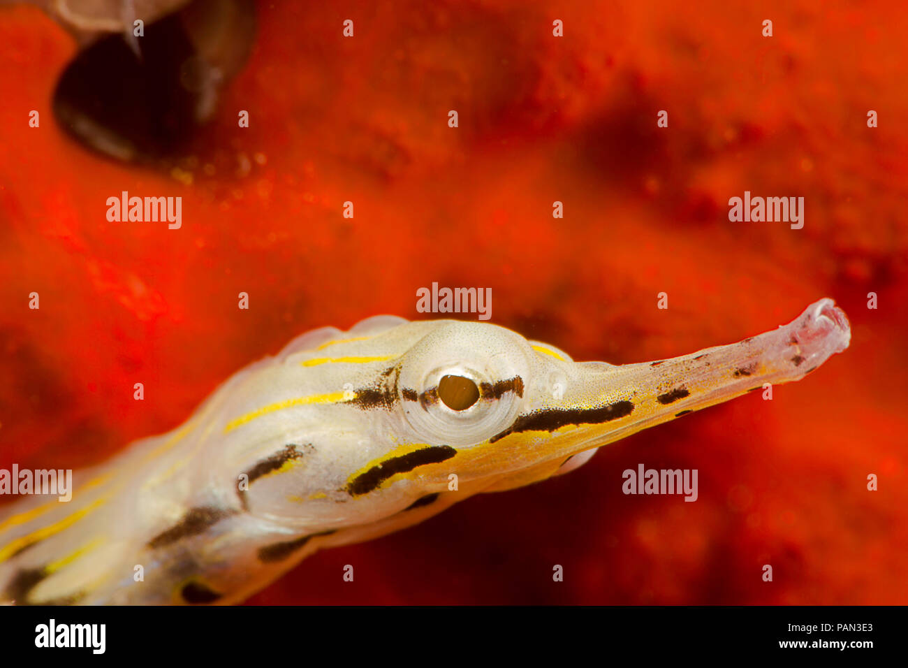 Confused sea hi-res stock photography and images - Alamy