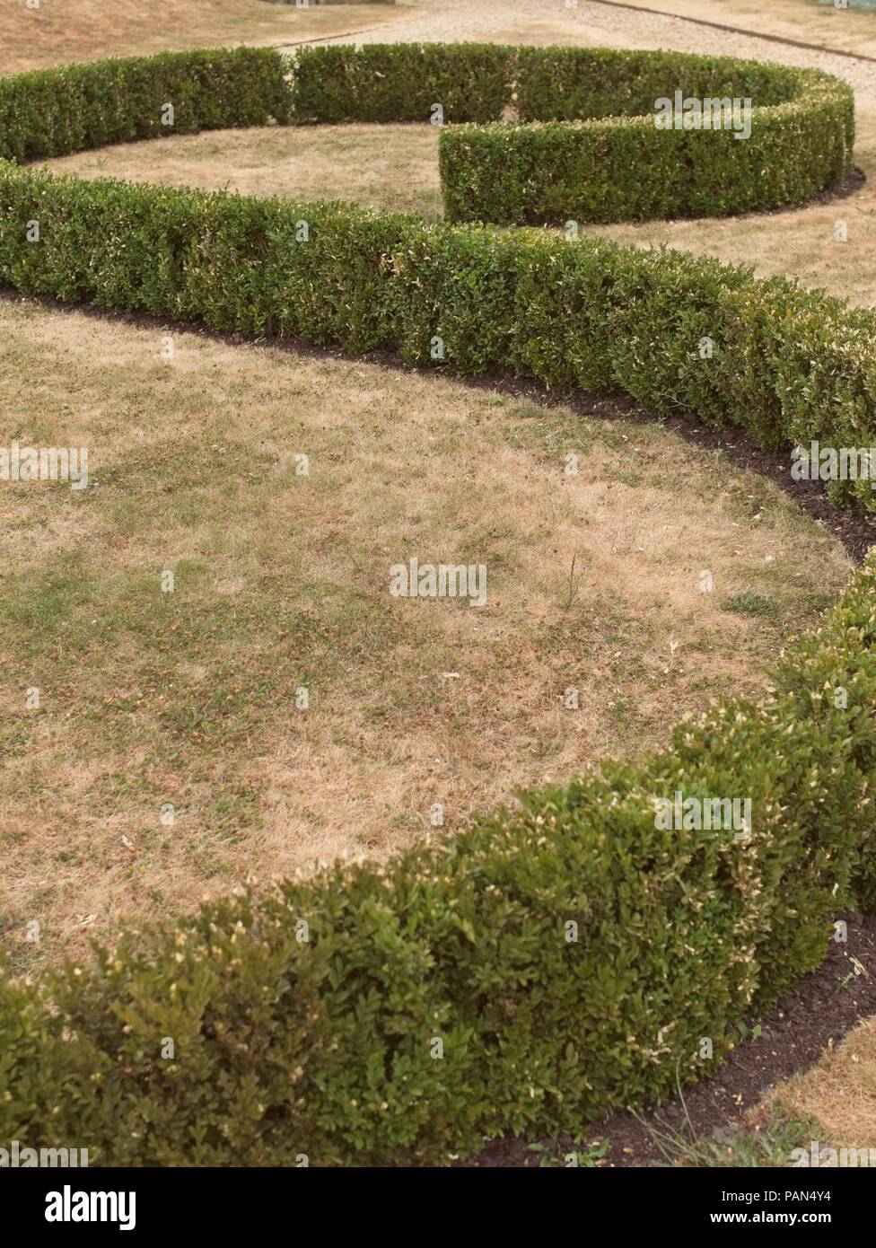 Abstract garden image of S shaped shrubbery Stock Photo - Alamy
