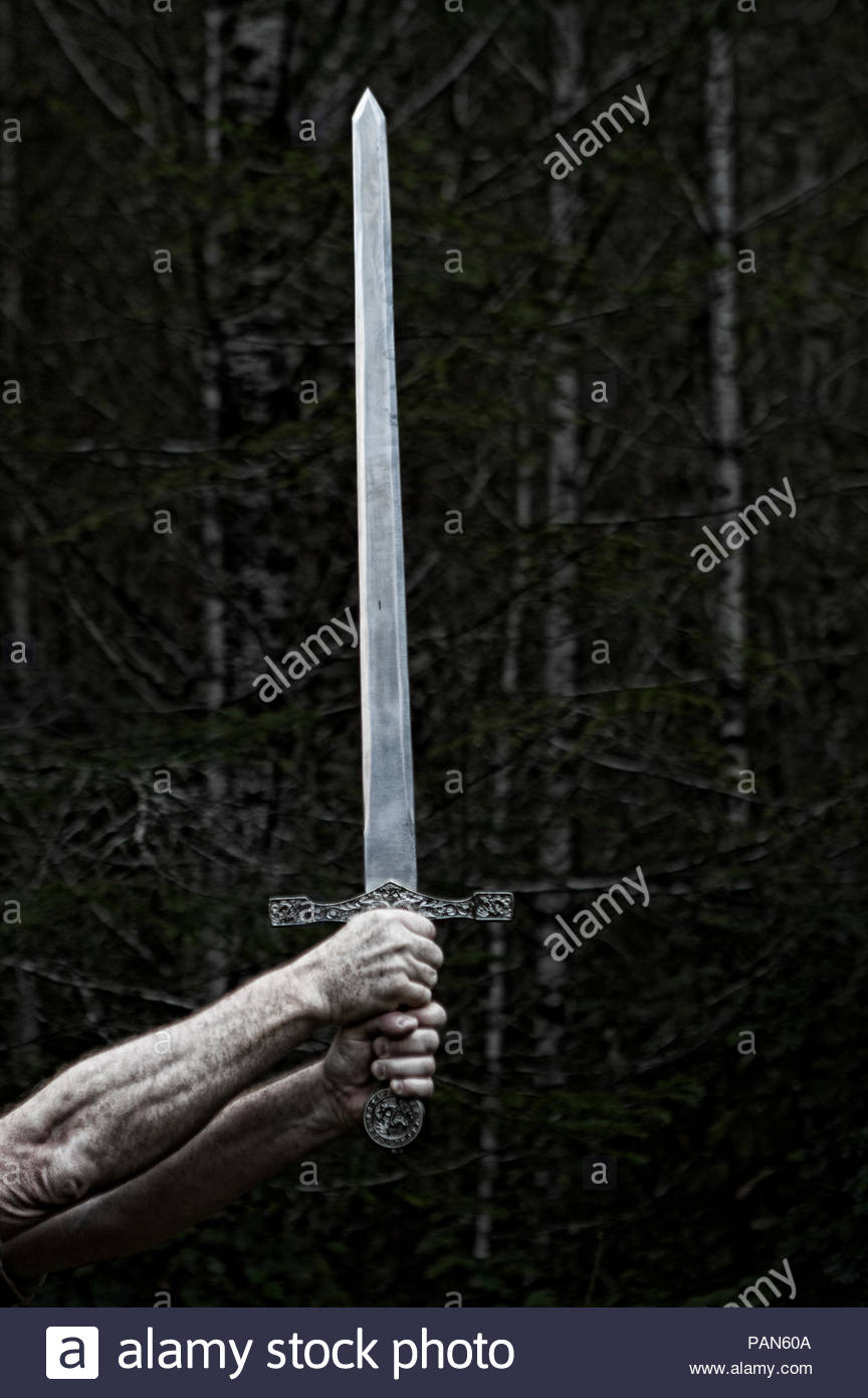 Dark Woods Book Cover High Resolution Stock Photography and Images - Alamy