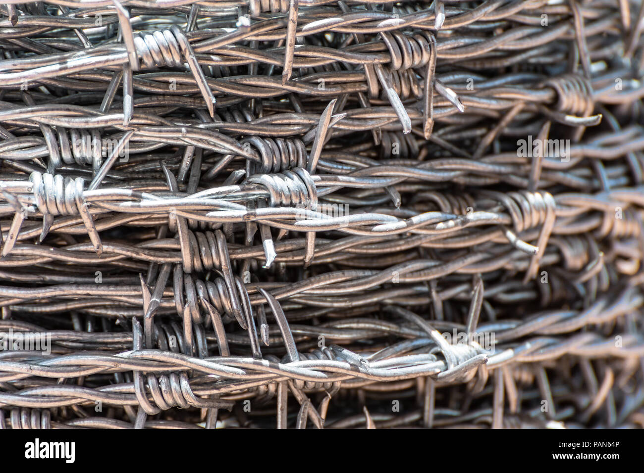 Shiny barbed wire hi-res stock photography and images - Alamy