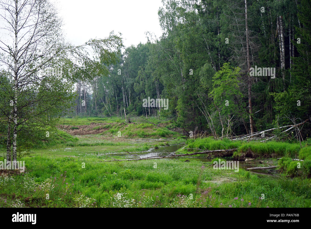 Green grass with river hi-res stock photography and images - Alamy