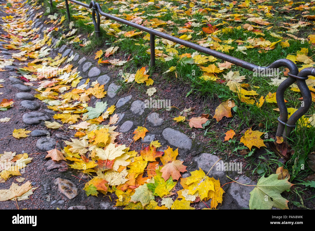 Concrete drainage ditch hi-res stock photography and images - Alamy