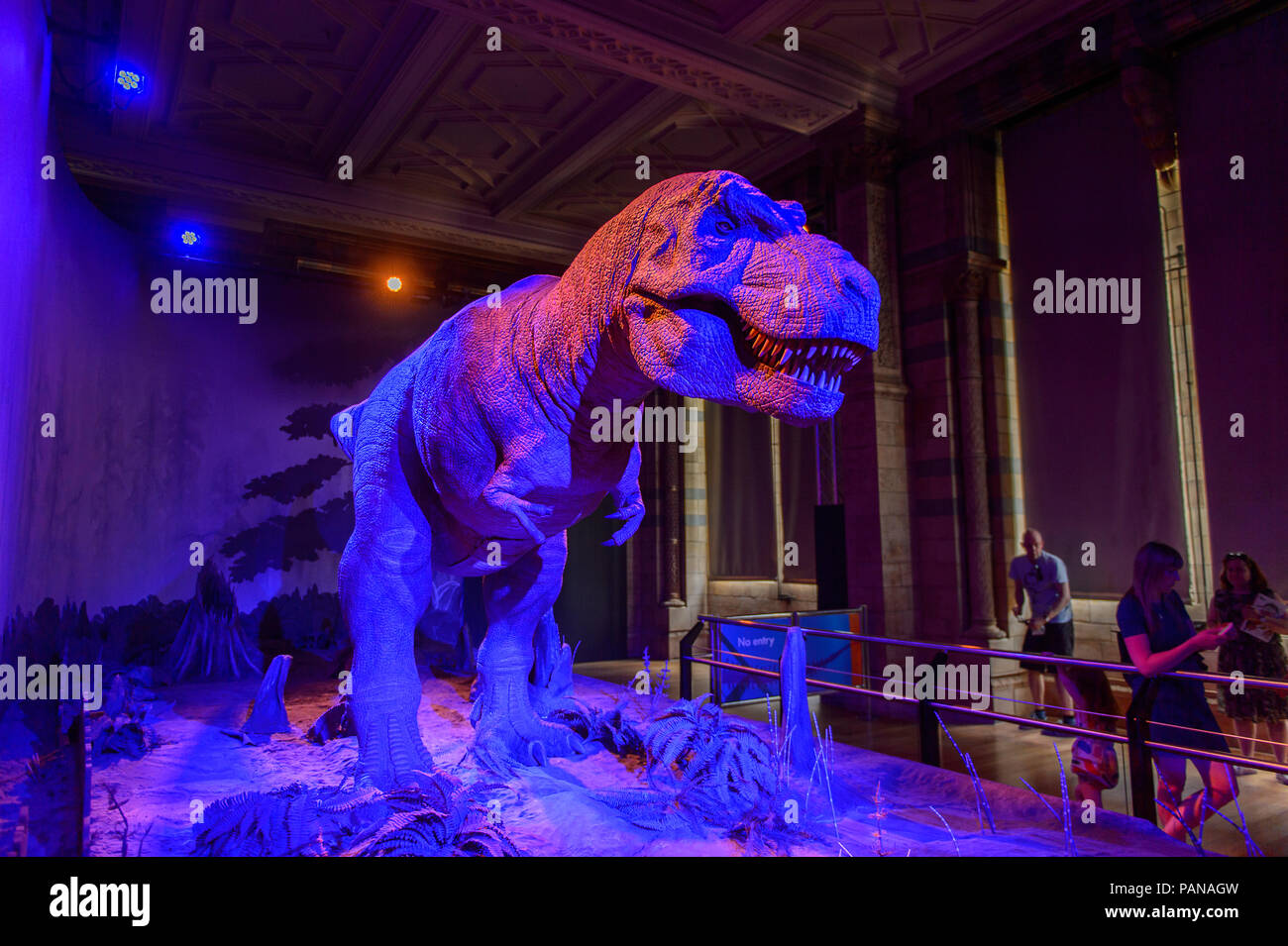 History Museum London Tyrannosaurus Rex Stock Photos & History Museum ...