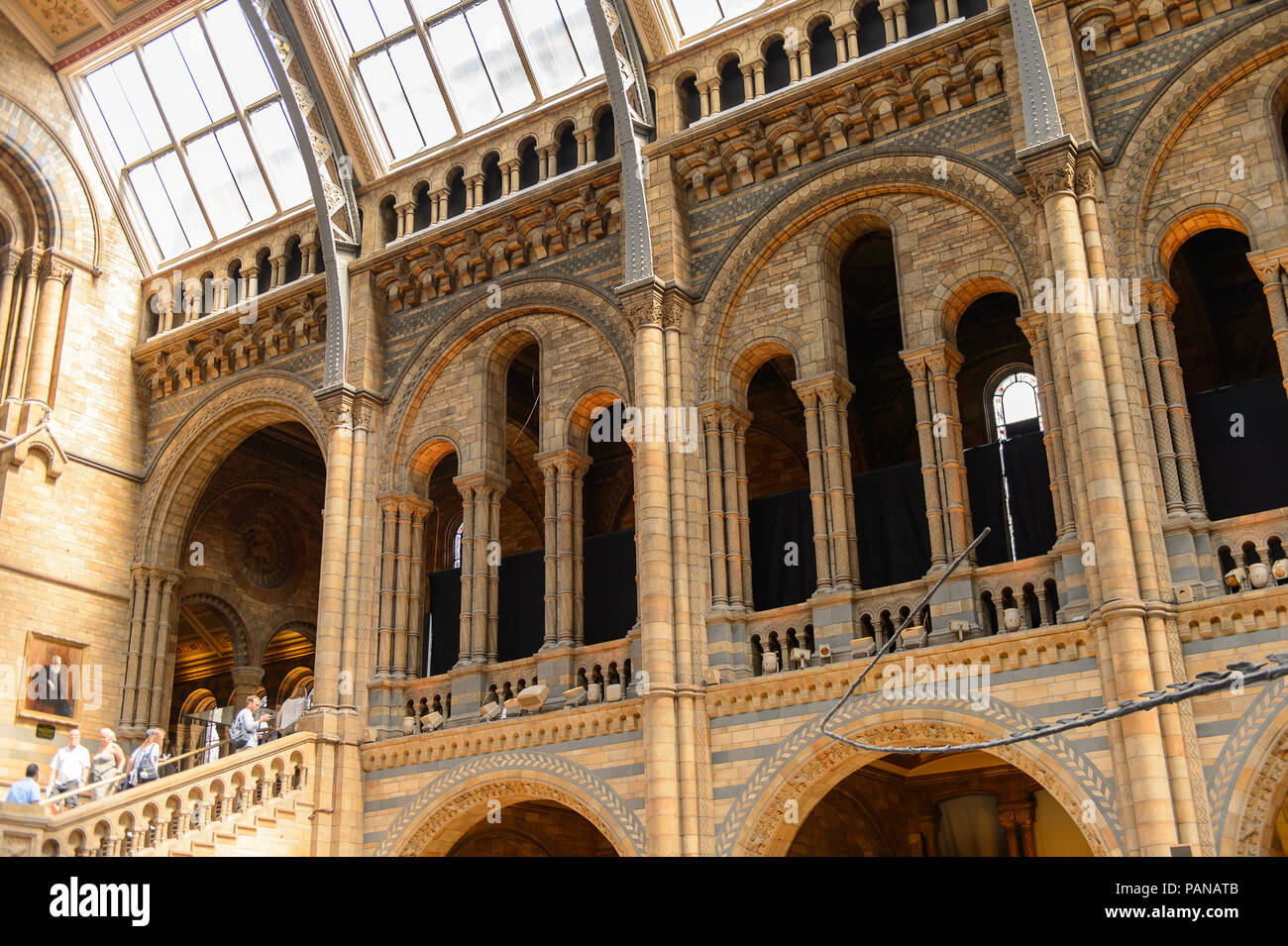 LONDON, ENGLAND - JUL 23, 2016: Main hall of the Natural History Museum ...