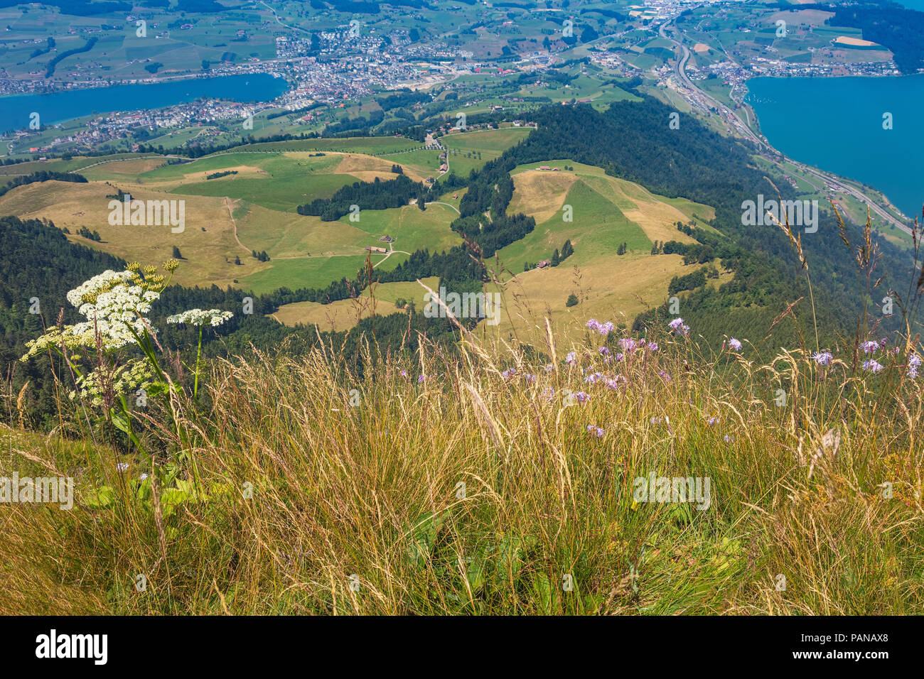 View from Mt. Rigi in Switzerland in summer. Mt. Rigi is a popular ...