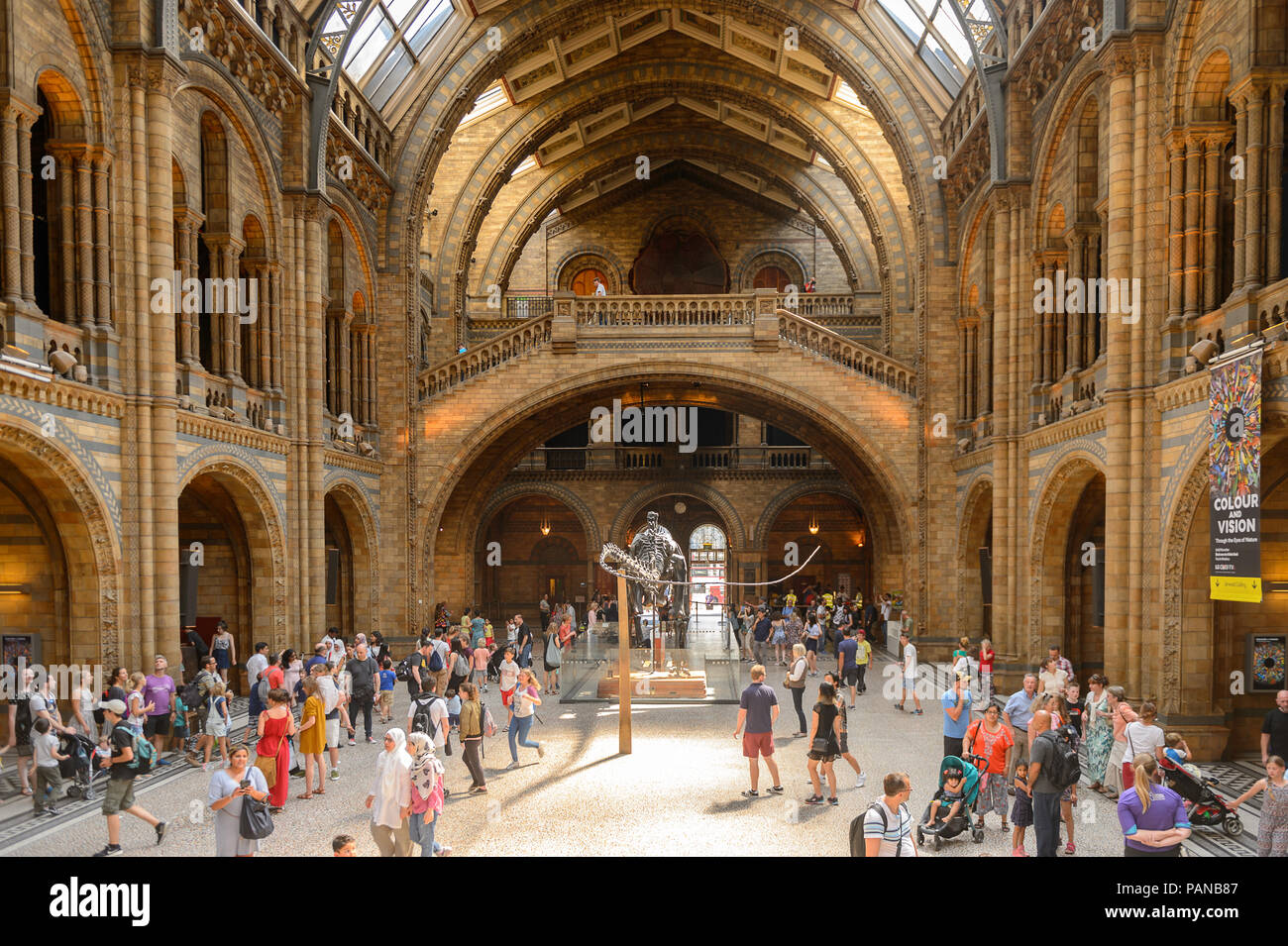 LONDON, ENGLAND - JUL 23, 2016: Main hall of the Natural History Museum ...