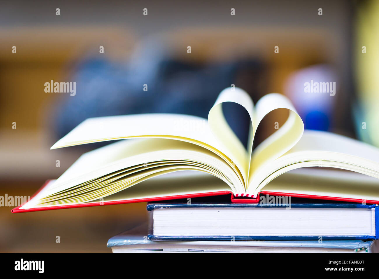 Real Open Book Heart