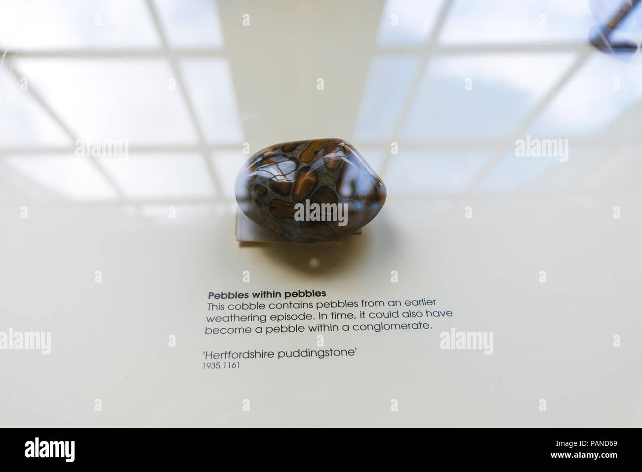 London, UK - March 19, 2018: Pebbles within pebbles in the Minerals ...