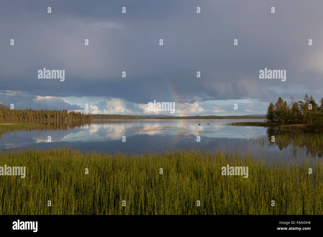 Lake in Muonio, Lapland, Finland Stock Photo - Alamy