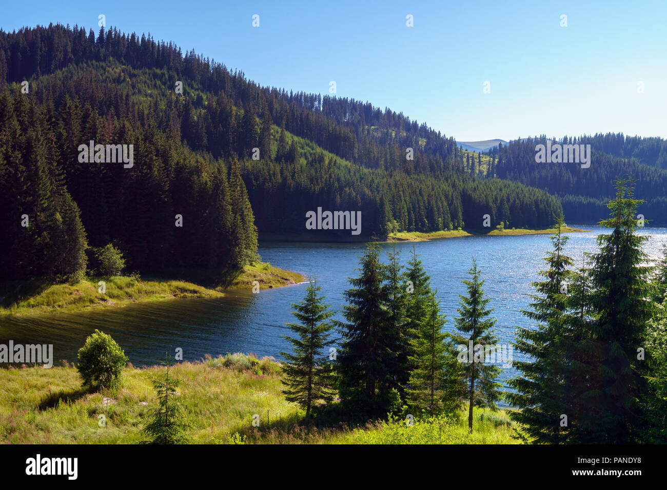 Landscape with Vidra dam lake in Parang mountains, Romania Stock Photo ...