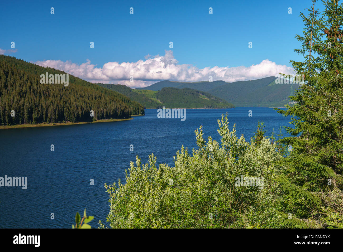 Landscape with Vidra dam lake in Parang mountains, Romania Stock Photo ...