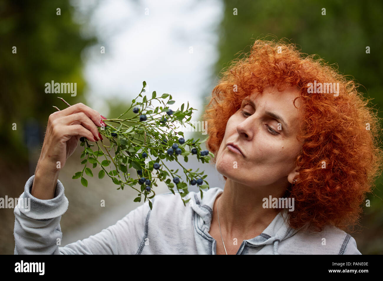 Woman blueberries portrait eating hi-res stock photography and images ...
