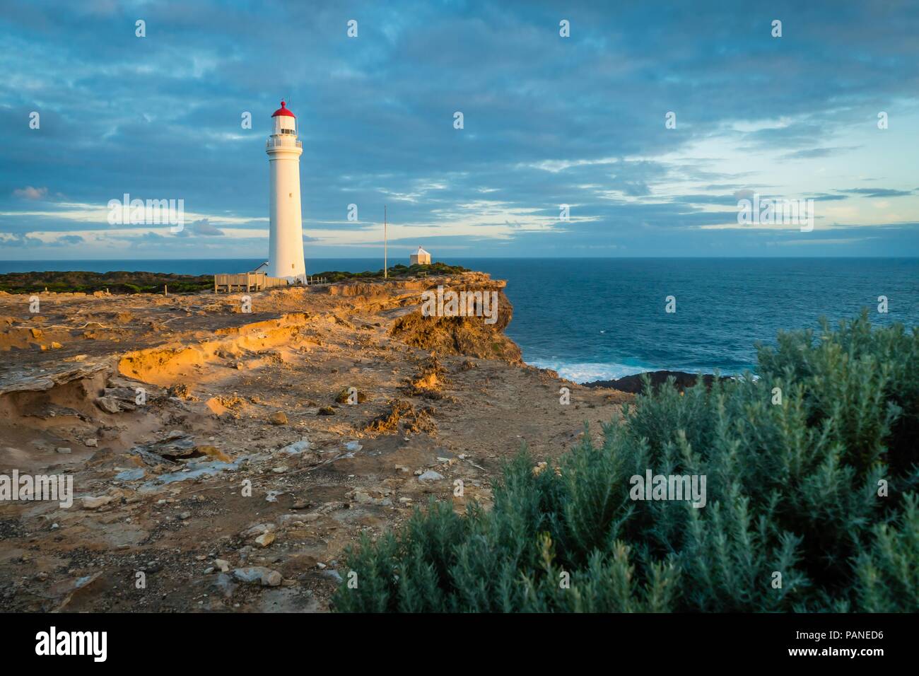 Cape Nelson state park at sunset, view of the lighthouse in australia ...
