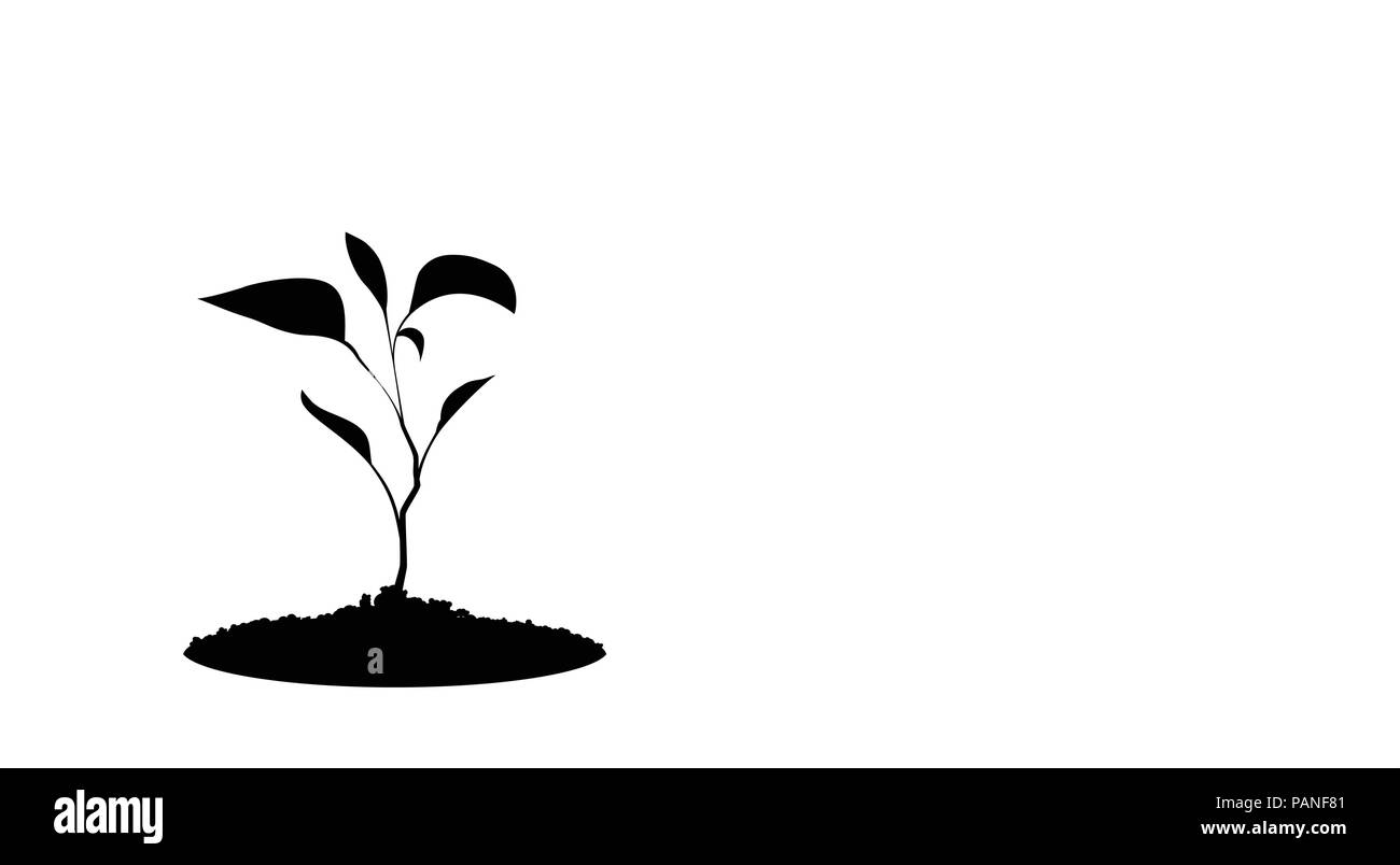 Sprout Icon Vector Vectors Stock Photos & Sprout Icon Vector Vectors ...