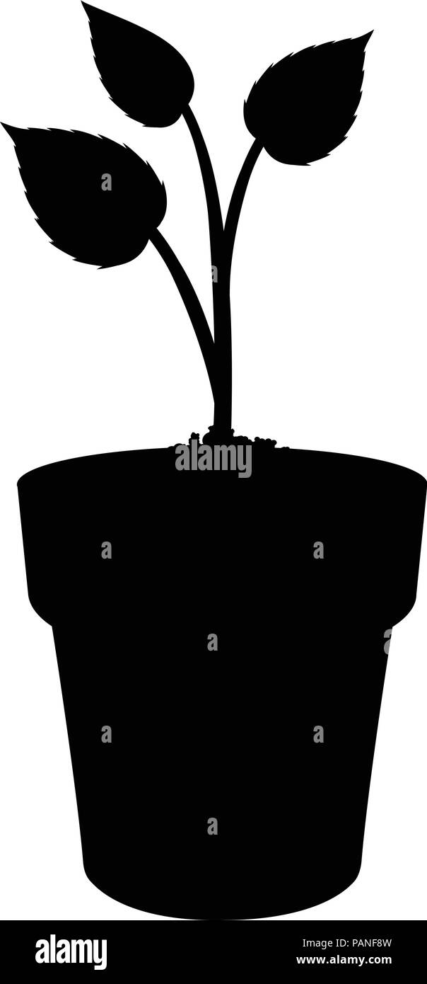 Black silhouette of sprouting plant in the pot isolated on white ...