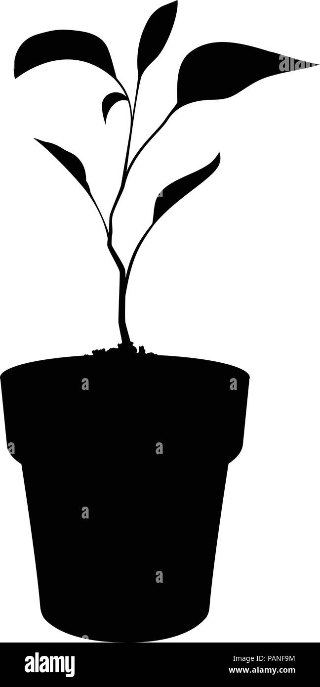 Black silhouette of sprouting plant in the pot isolated on white ...