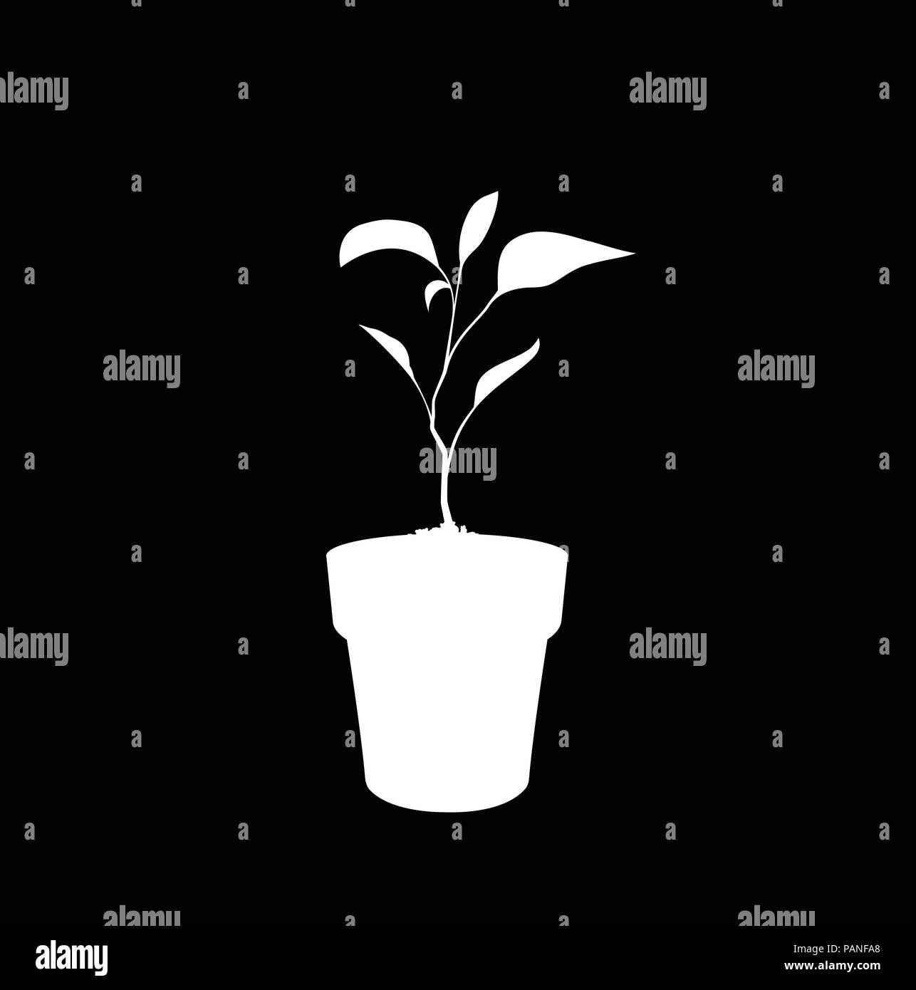 Plant Growing Sign Silhouette Icons Stock Photos & Plant Growing Sign ...