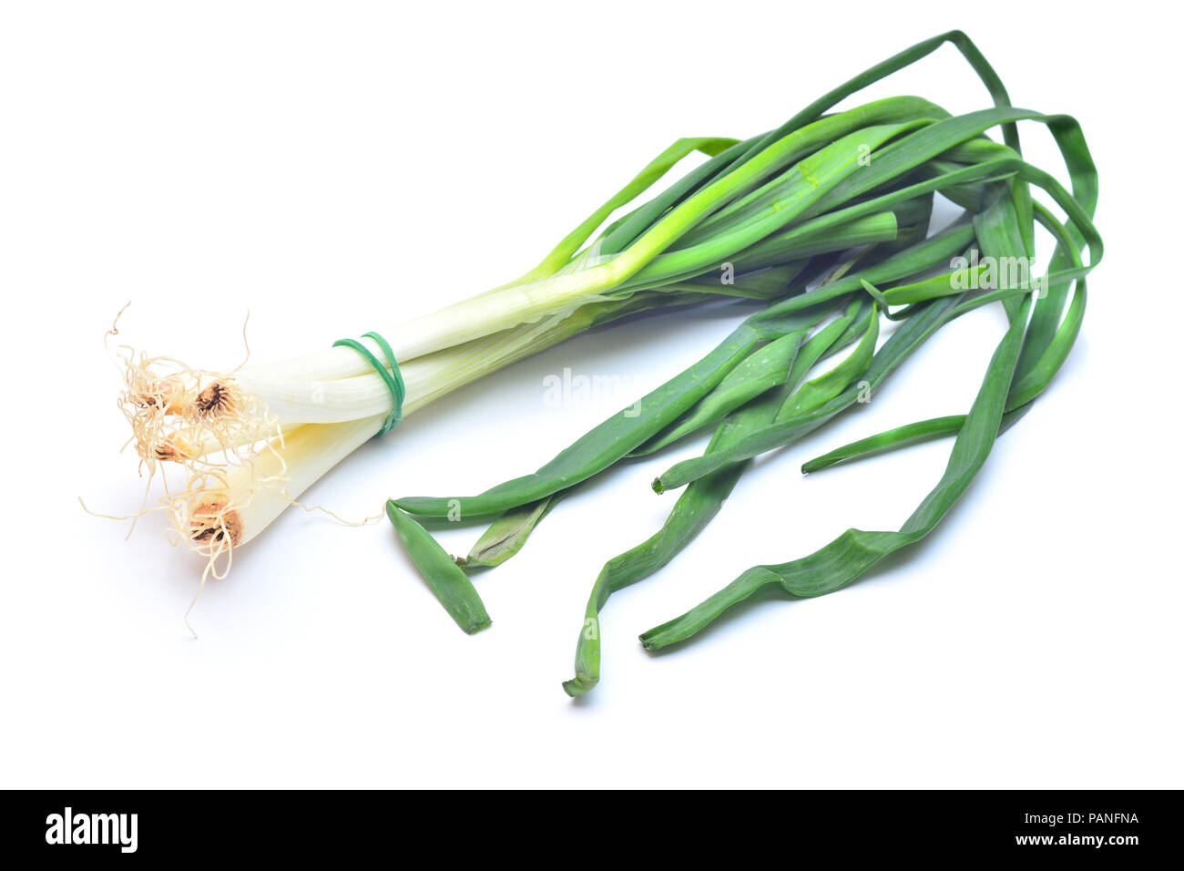 spring onion isolated on white Stock Photo - Alamy