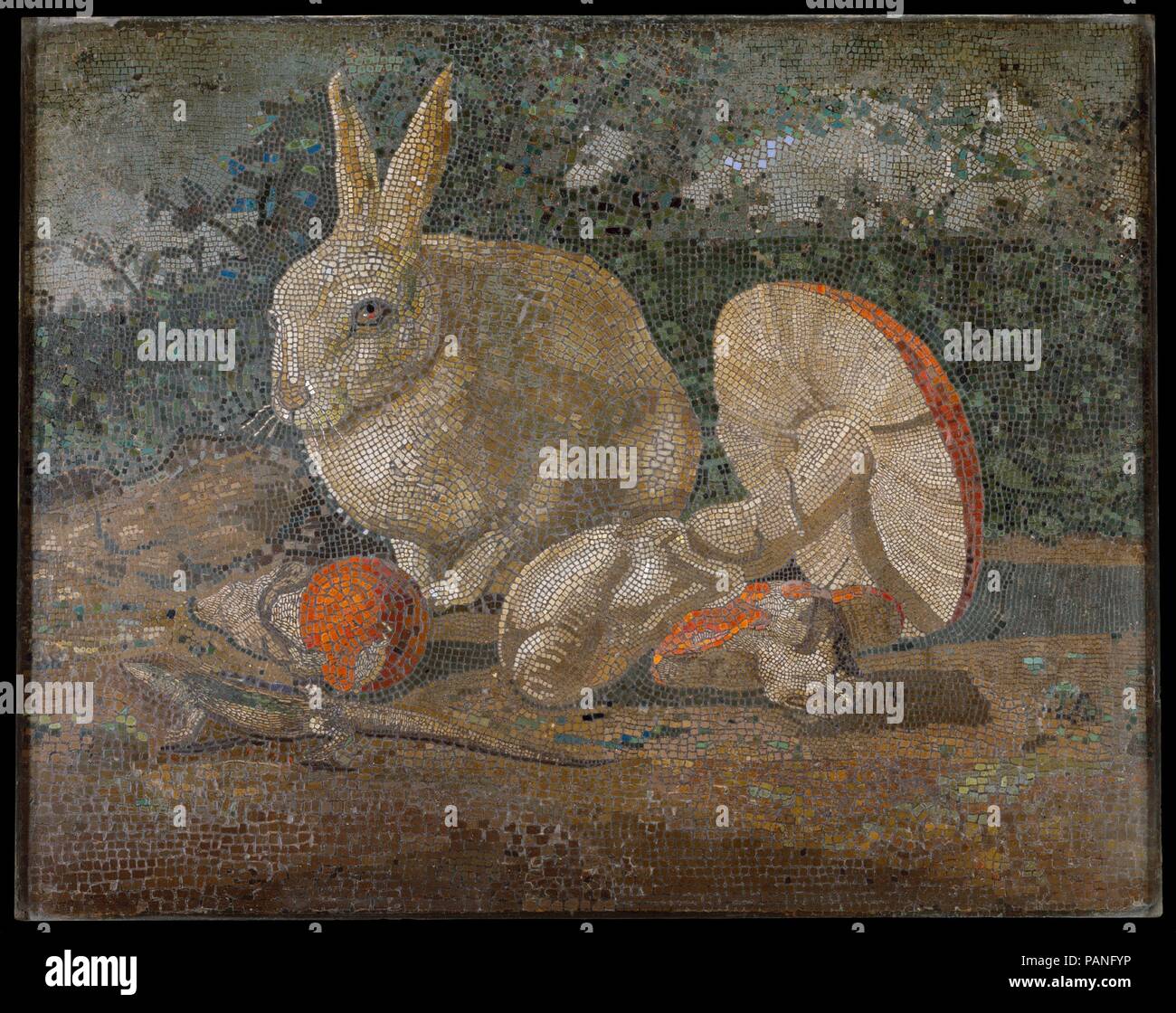 Roman mushroom mosaic hi-res stock photography and images - Alamy