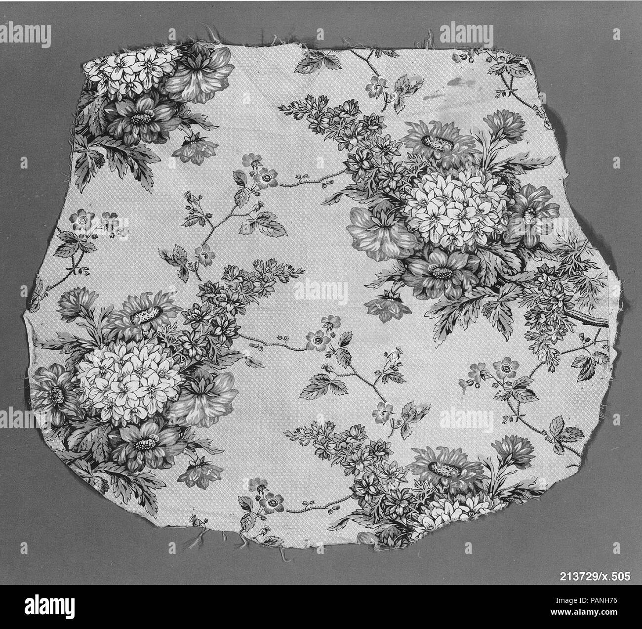 W 8 50 24 Black and White Stock Photos & Images - Alamy