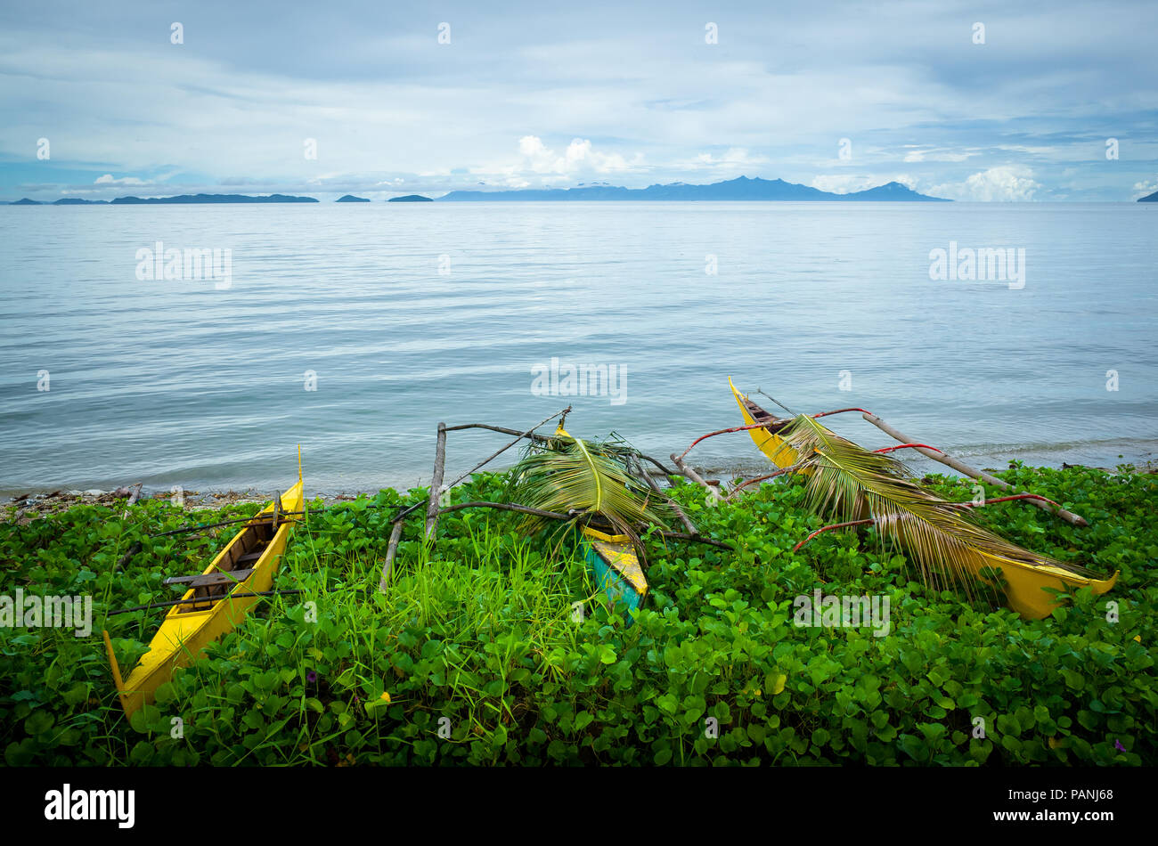 Three small, yellow fishing boats, known as bangkas, lining a beach ...