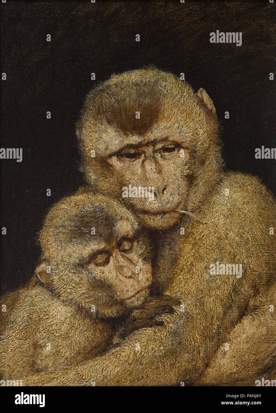 Max Gabriel Cornelis Ritter Von - Macaque Mother with Her Cub Stock ...