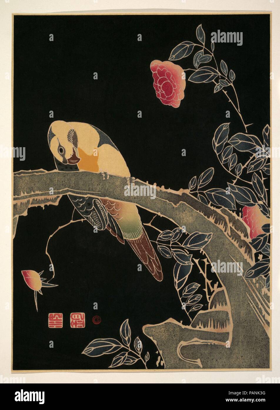 Parrot on the Branch of a Flowering Rose Bush. Artist: Ito Jakuchu ...