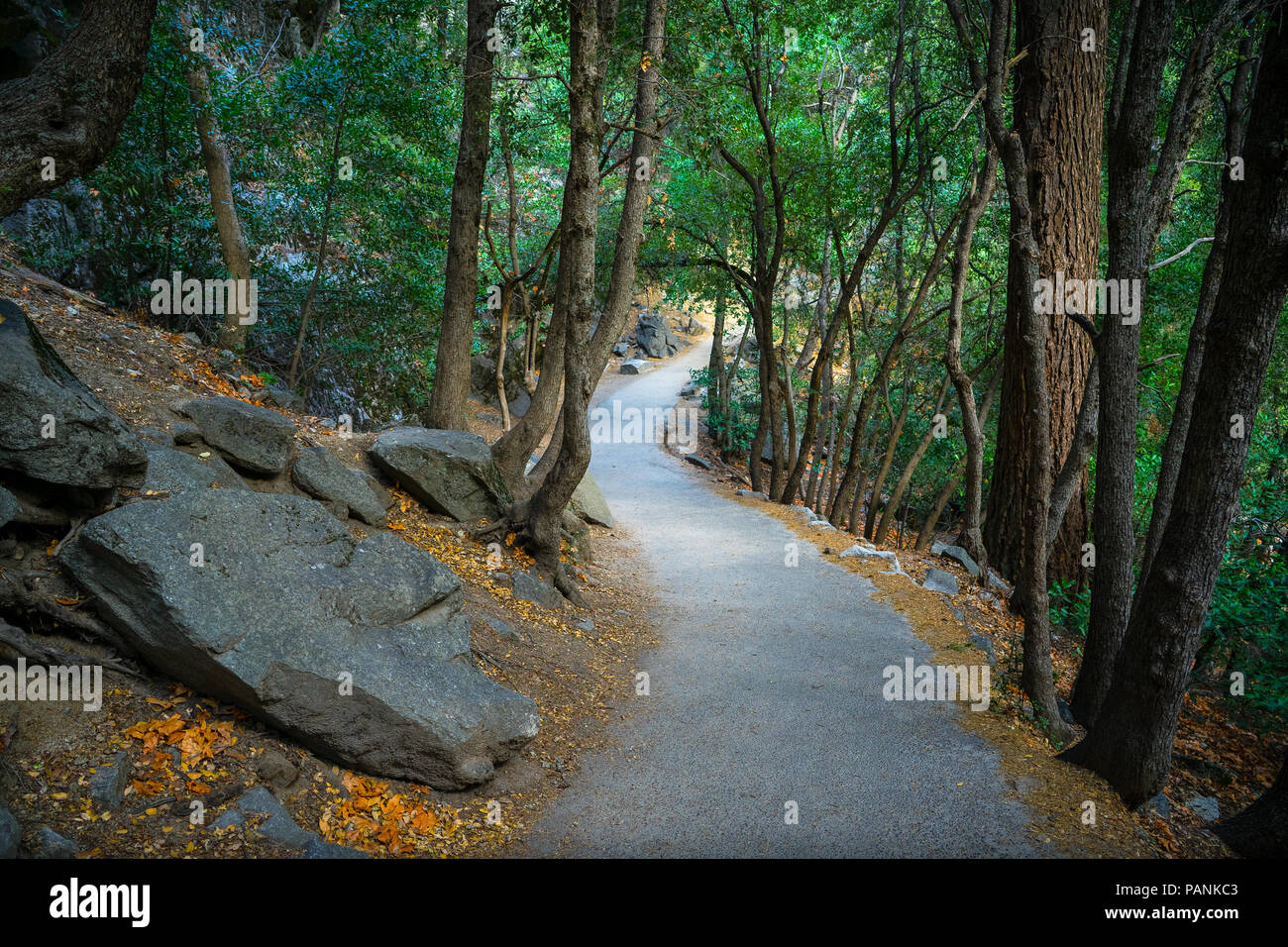 Paved path giant mountains hi-res stock photography and images - Alamy