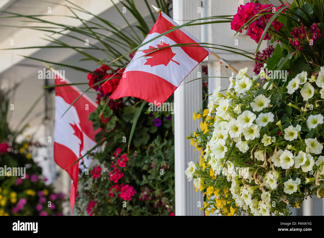 Closeup of building with flowers and Canadian flags Stock Photo - Alamy
