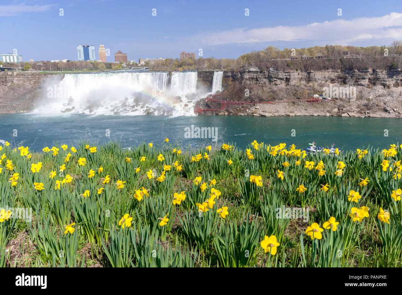 View at Niagara Falls and flowers from Canadian side in spring season ...