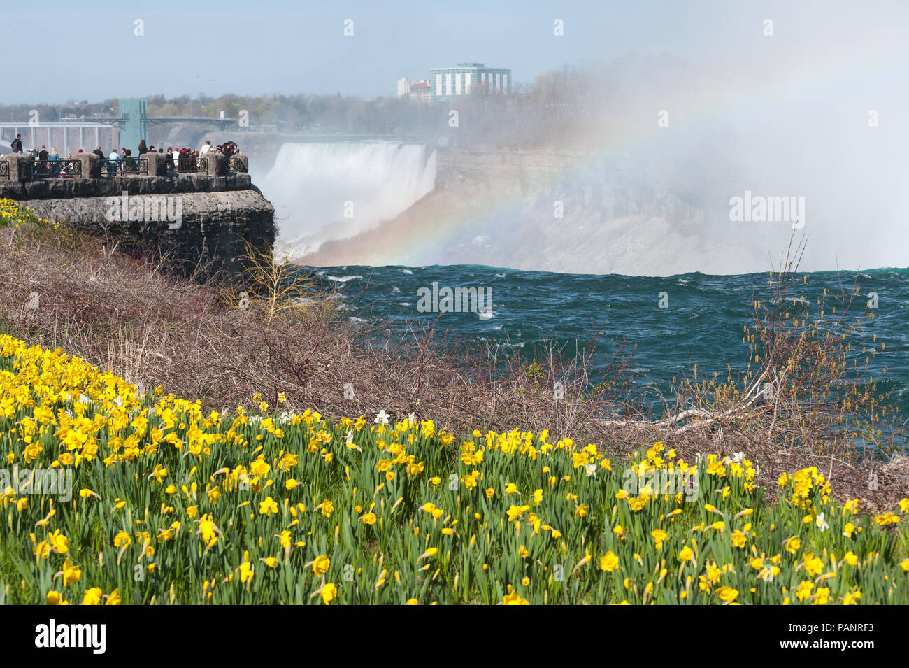 View at Niagara Falls and flowers from Canadian side in spring season ...